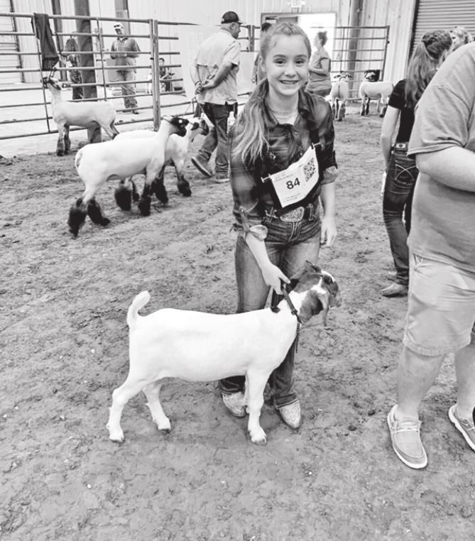HS FFA Goat Show team participates in Four States | Daingerfield Bee