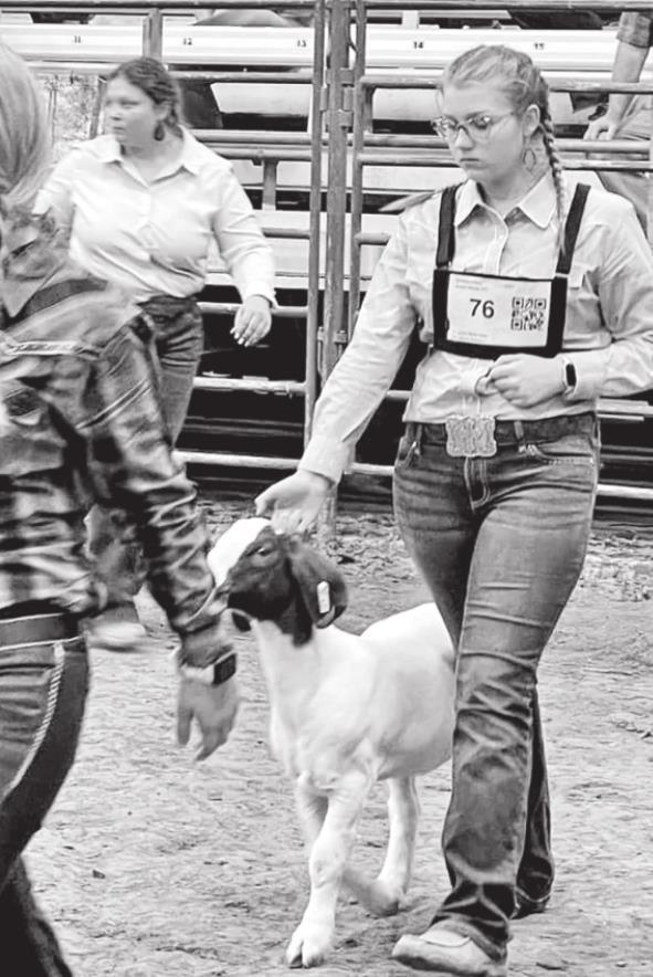 HS FFA Goat Show team participates in Four States | Daingerfield Bee