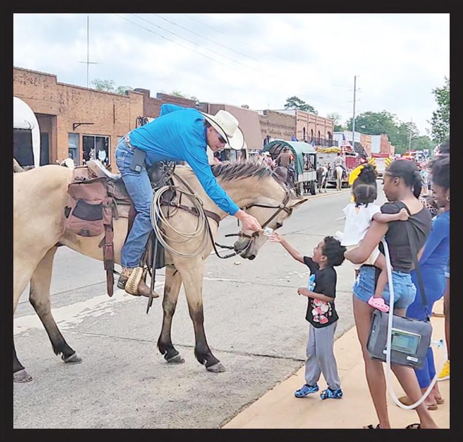 The bloom of Wildfiower Trails Festival ushers in Spring | Daingerfield Bee